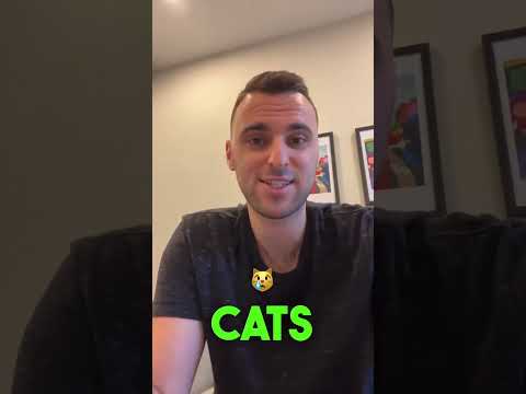 What’s your Cat Policy for your Airbnb?? #airbnb #airbnbhost #airbnbtips #airbnbproblems #realestate