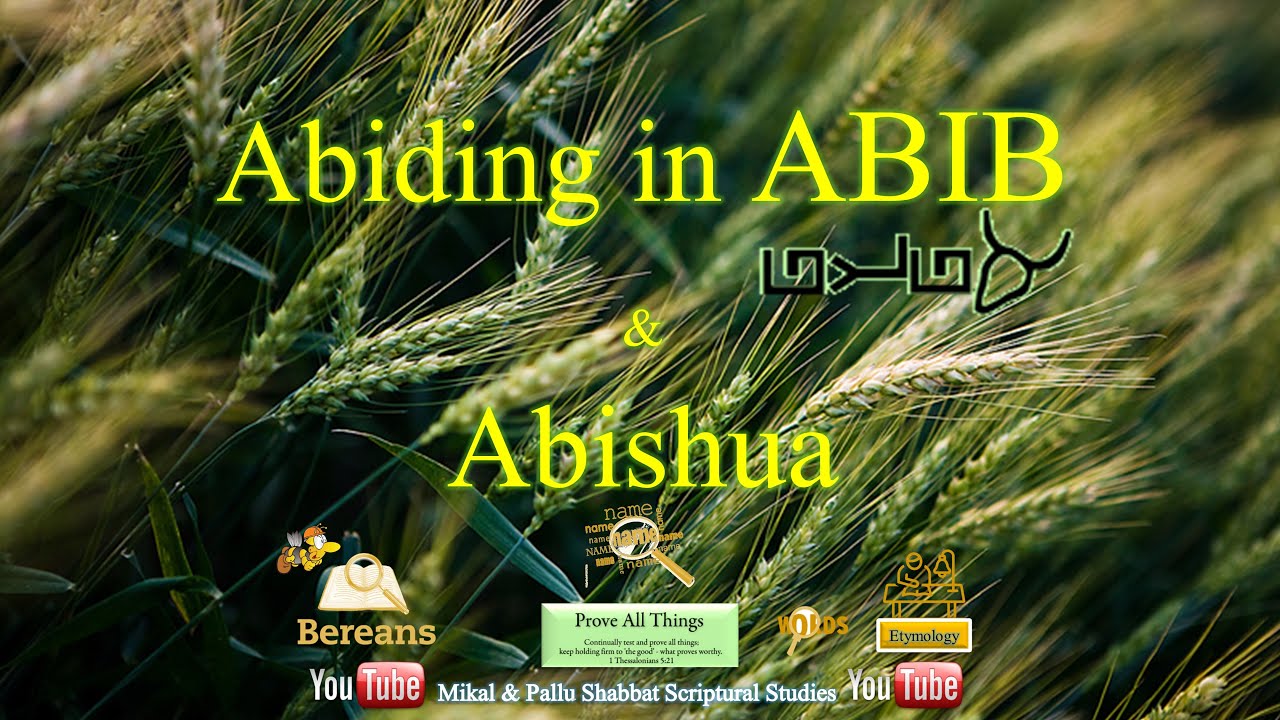 Abiding in Abib and Abishua - 2023