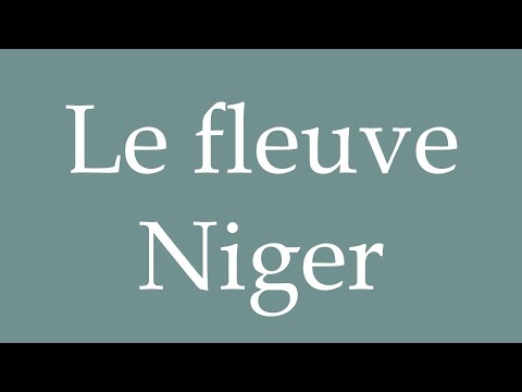 How to Pronounce ''Le fleuve Niger'' (The Niger River) Correctly in French