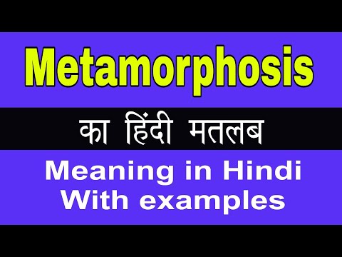 Metamorphosis Meaning in Hindi/Metamorphosis ka Matlab kya Hota hai