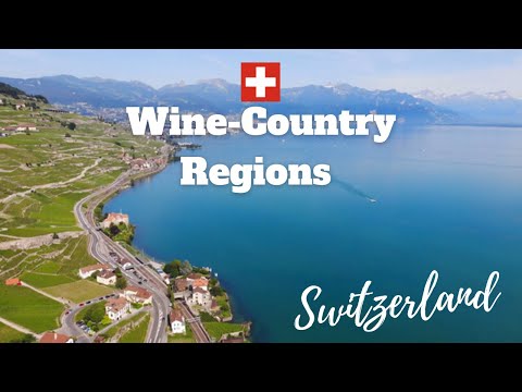 The Swiss Wine Terraces - Stunning Views!