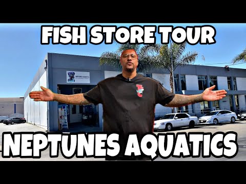 FISH STORE TOUR!! NEPTUNES AQUATICS!!