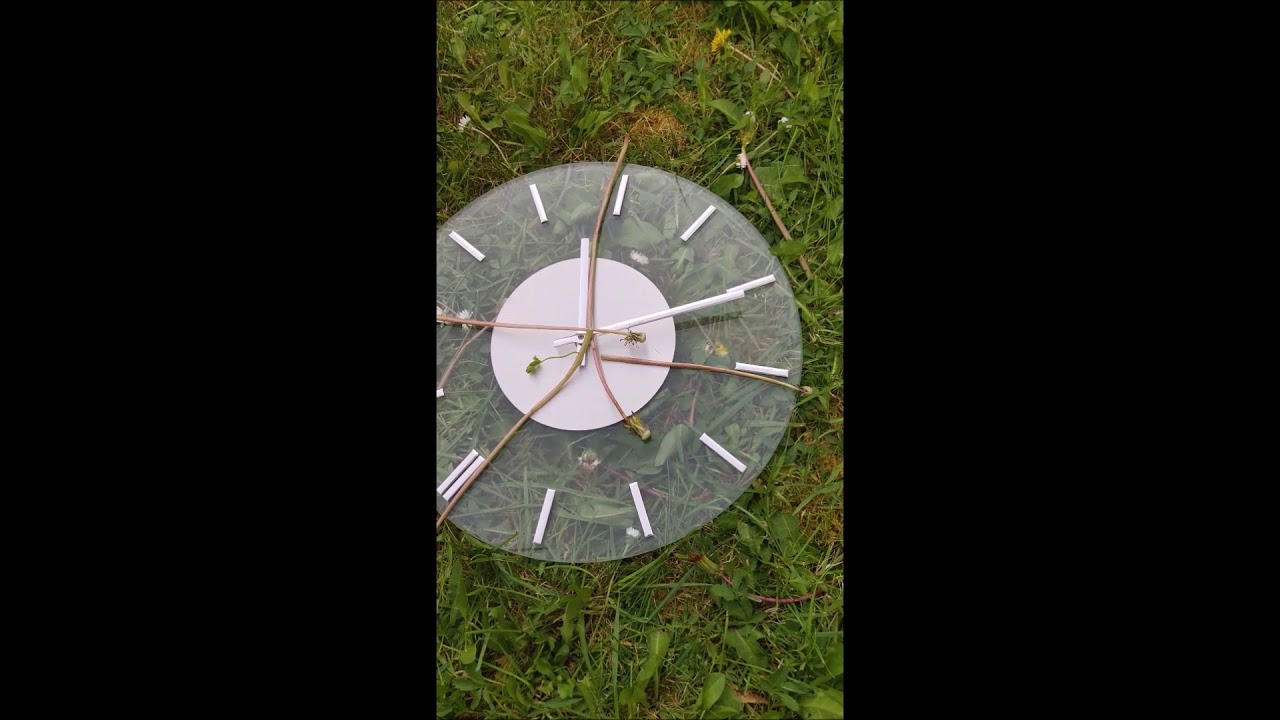 ADVENTURE ZONE Navigation Activity 3   Explorers & Scouts