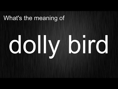 What's the meaning of "dolly bird", How to pronounce dolly bird?