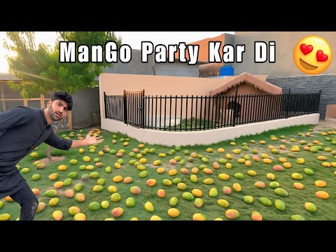 Sab Animal Ki Mango Party Kar Di Aaj Fir 🥰 || Shehr Main Dihat