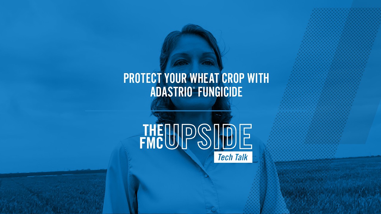 Protect Your Wheat Crop with Adastrio® Fungicide