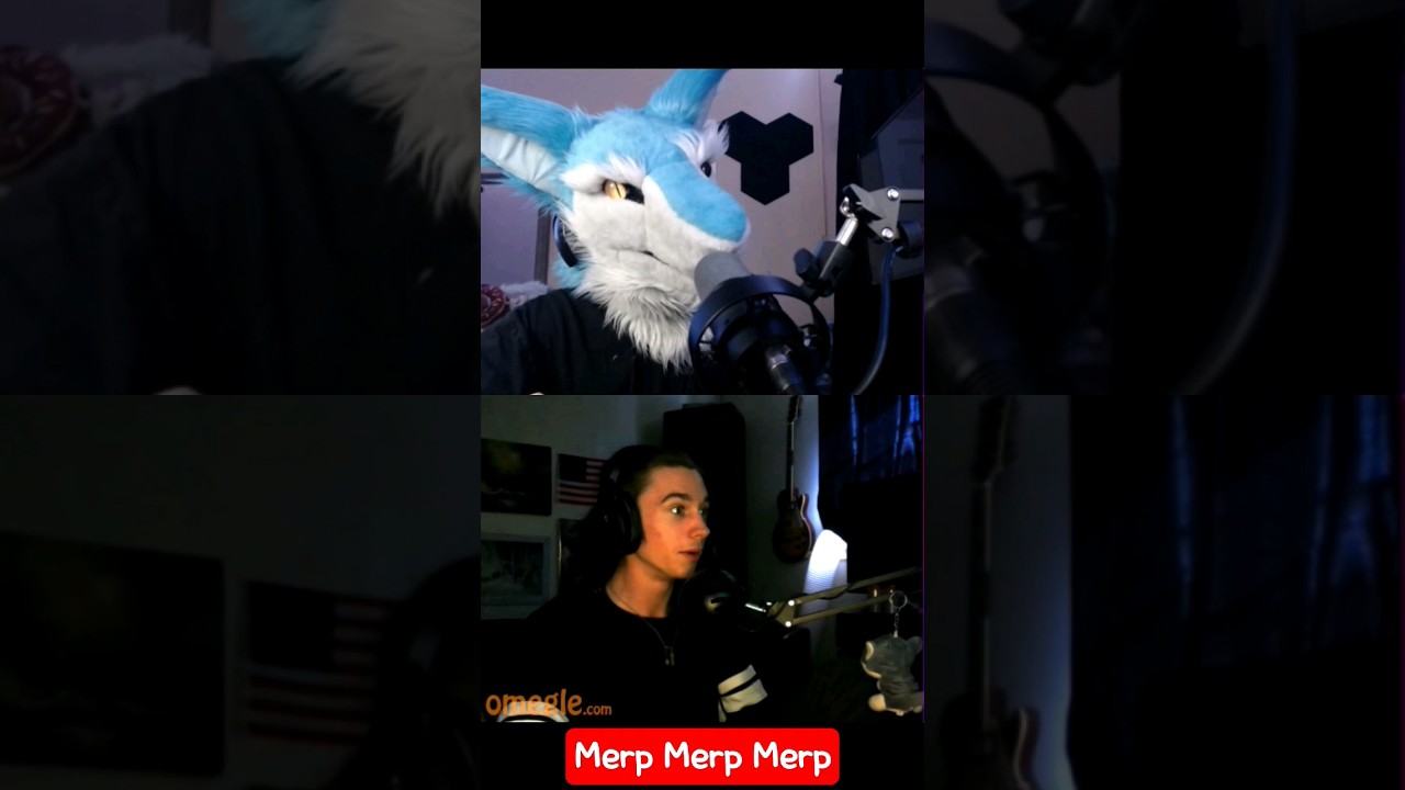 Merp #furries