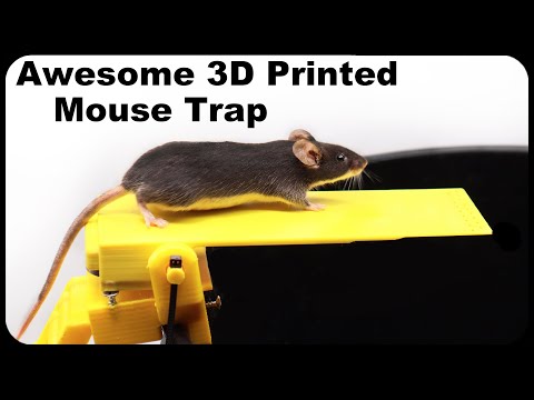 STL file MOUSE TRAP THE LAST ONE YOU WILL EVER NEED HEAVY DUTY 🐁 ・3D ...