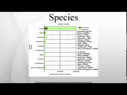 Species