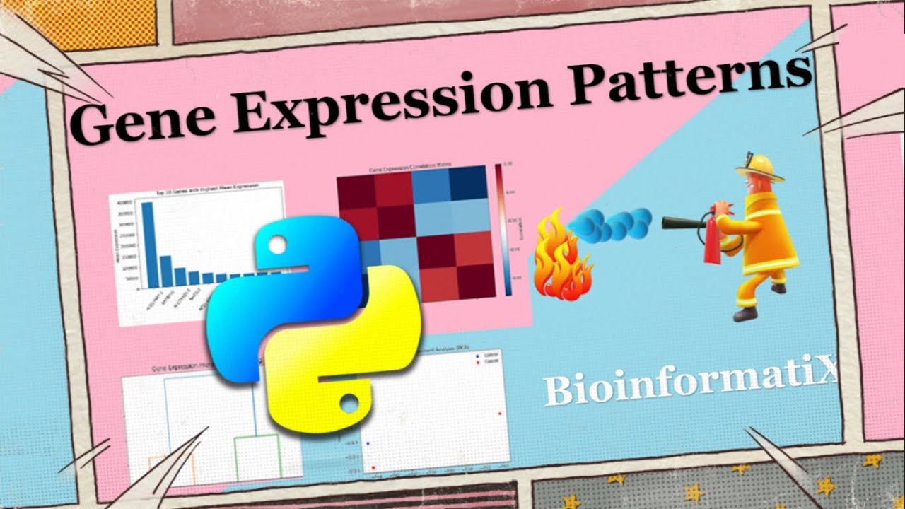 Differential Gene Expression Analysis in Python | RNA Seq Data Analysis|Bioinformatics for Beginners