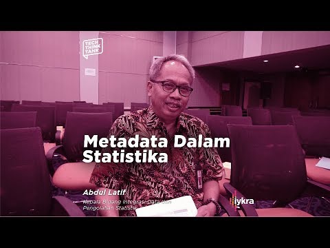 Metadata dalam statistika