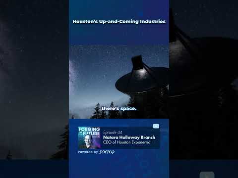 Houston's Rising Industries: A Deep Dive with Natara Holloway Branch