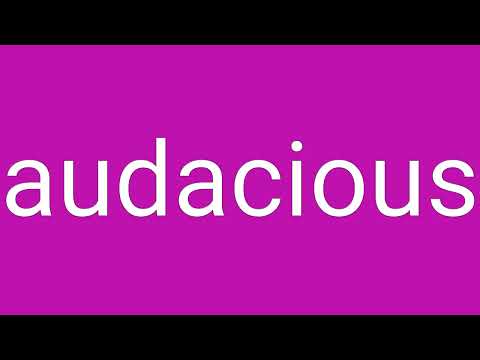 Audacious Definition & Meaning