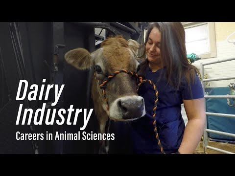 Dairy Industry l Careers in Animal Sciences