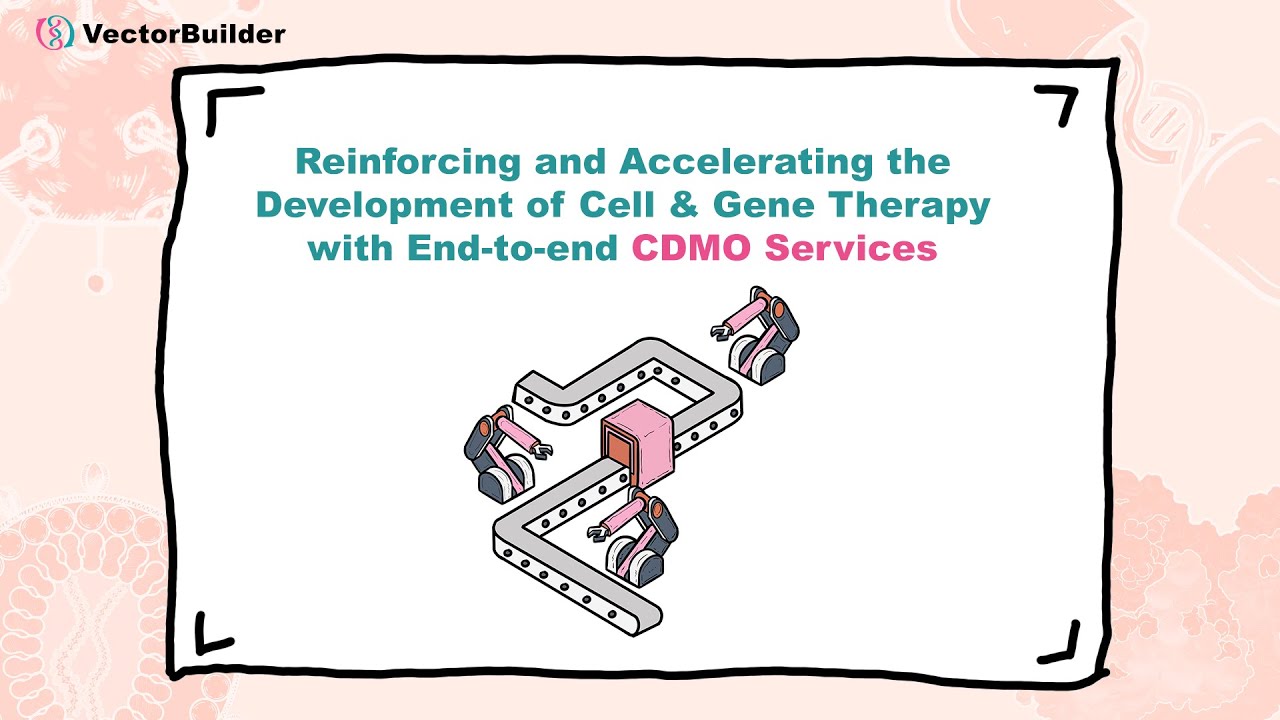End-to-end CDMO Services: Reinforcing and Accelerating the Development of Cell and Gene Therapy