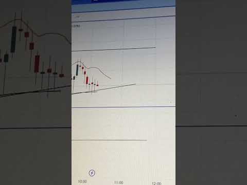 NSE option chain required before trading