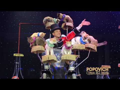 Popovich Comedy Pet Theater in Las Vegas, NV
