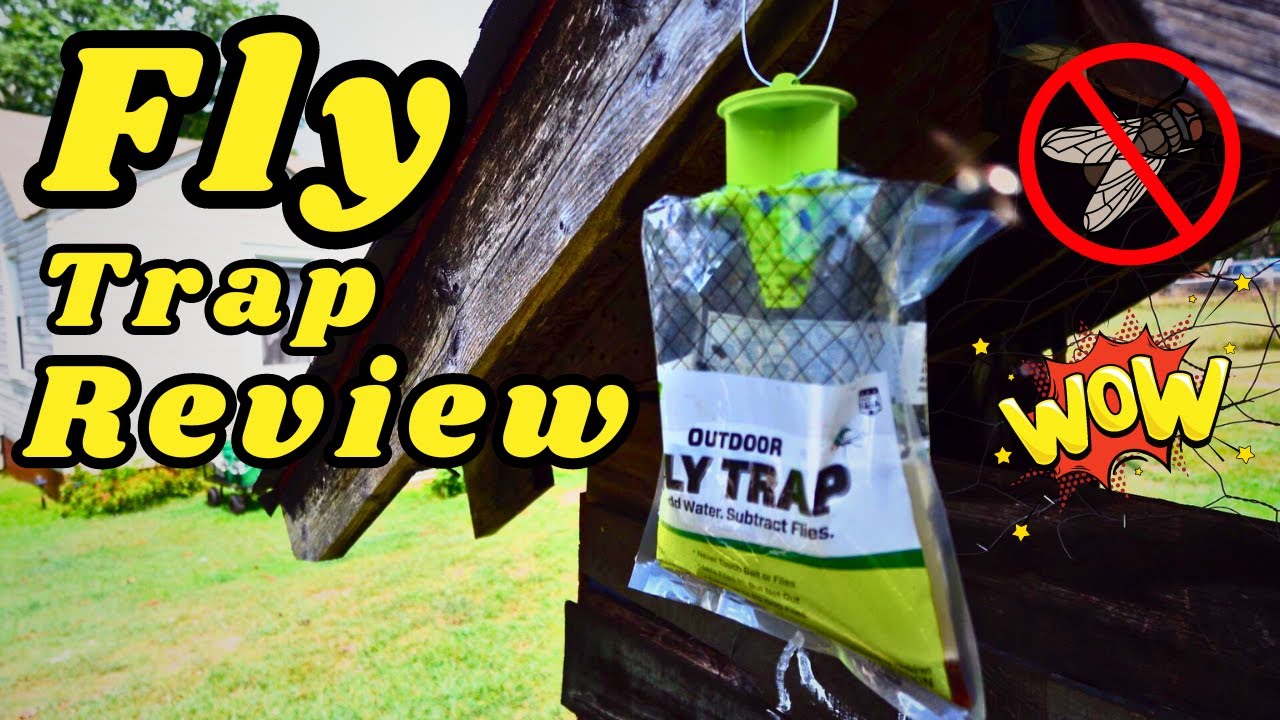 Outdoor Disposable Hanging Fly Trap (Testing/Review)