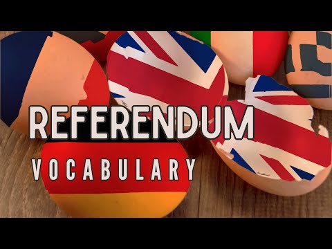 What is the meaning of Referendum?