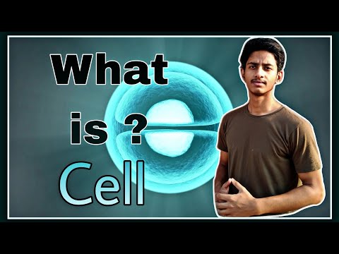 What is Cell? | Cell in Hindi