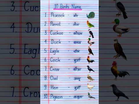 10 Birds name in english and hindi with pictures // Names of Birds with spelling // #shorts
