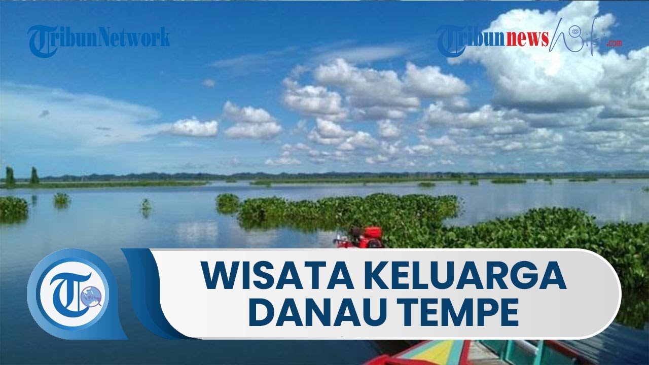 Berkunjung ke Wisata Danau Tempe, Danau Terbesar Kedua di Pulau ...