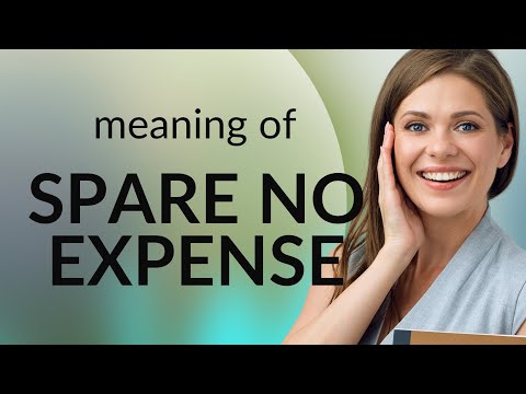 Understanding "Spare No Expense" in English