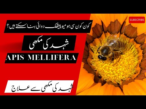 Unlocking the Healing Power of Apis Mellifera: Homeopathic Remedies with Honey Bee Products