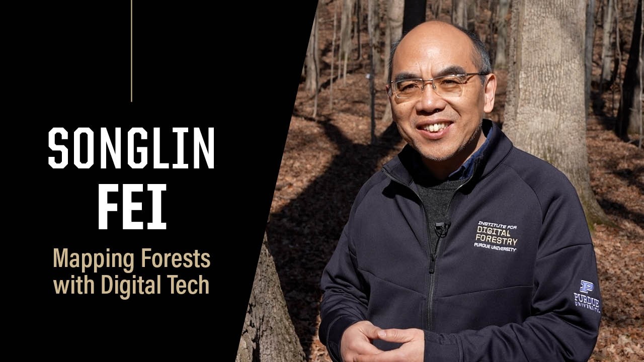 AI-powered tech reconstructs forests in 3D | Purdue Expert