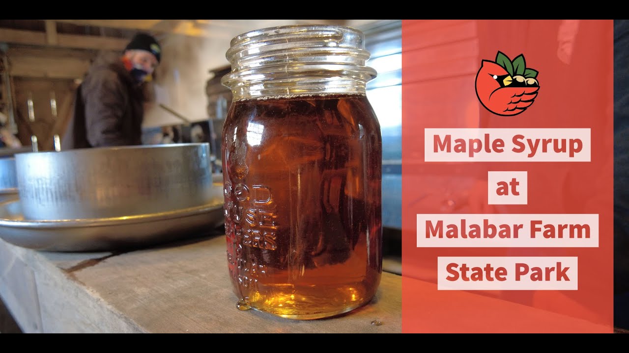 Maple Syrup at Malabar Farm State Park