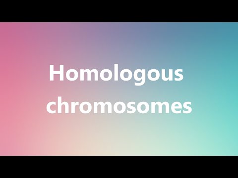Homologous chromosomes - Medical Definition and Pronunciation