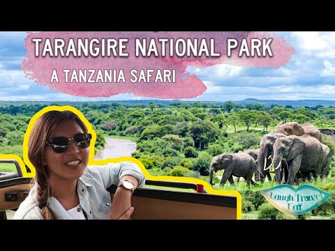 Tarangire national park: a day in a Tanzania safari
