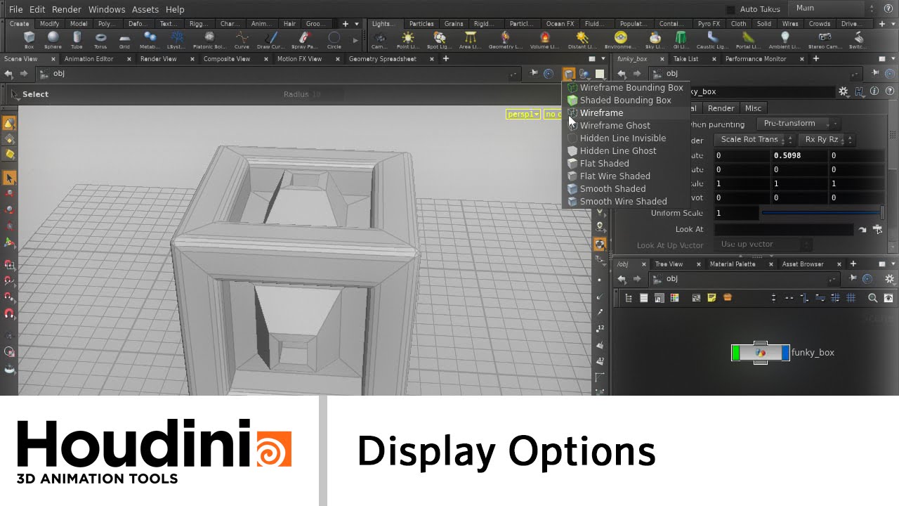 #Houdini Quick start. Display Options