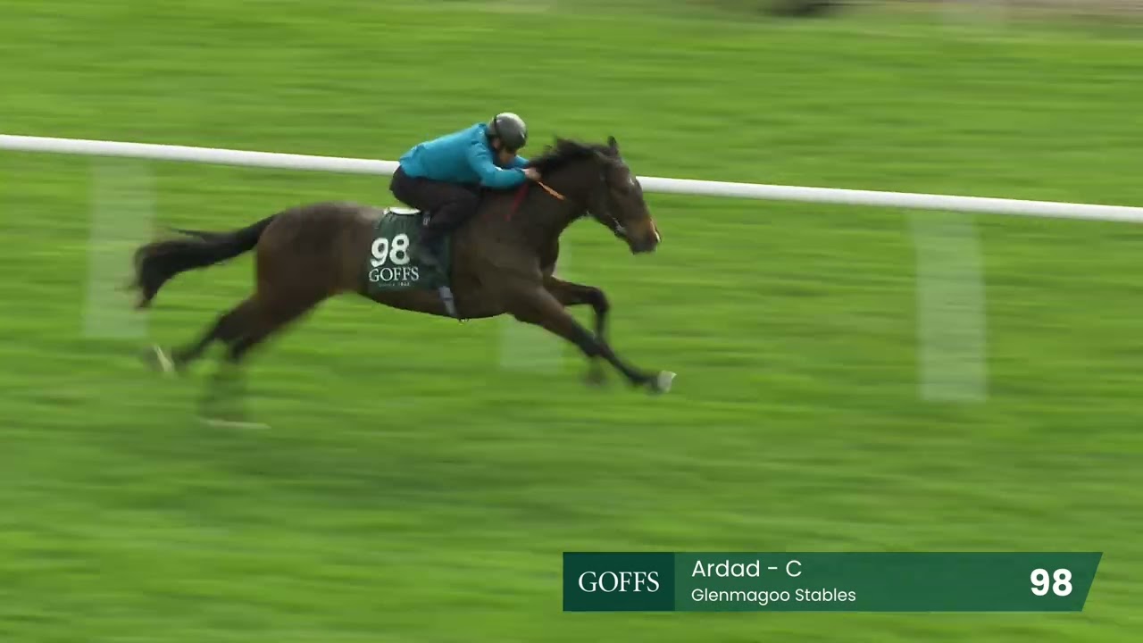 Breeze Up Sale 2025 | Lot 98