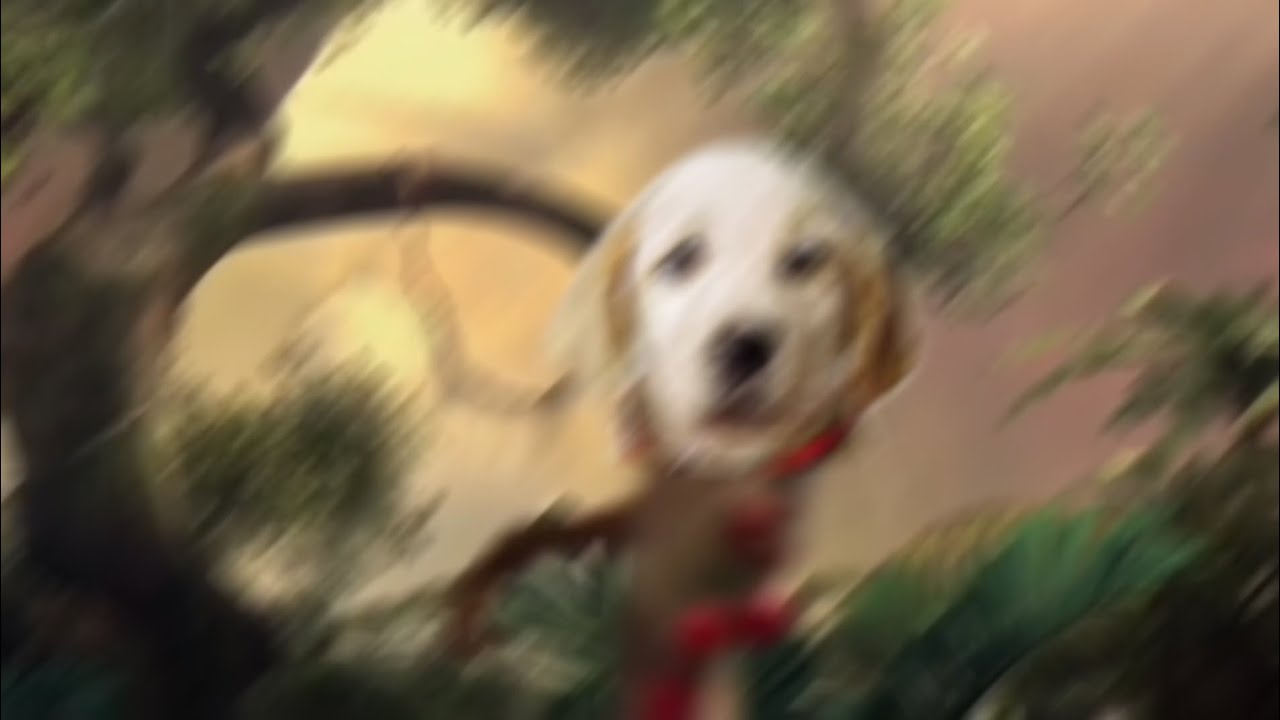 buck freaking dies