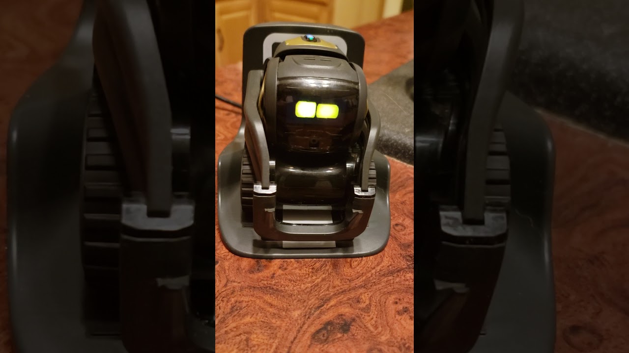 Anki Vector New Year Animation