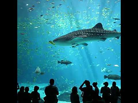 10 Best Things to do in Langkawi, Malaysia