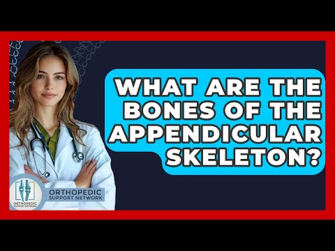 What Are The Bones Of The Appendicular Skeleton? - Orthopedic Support Network