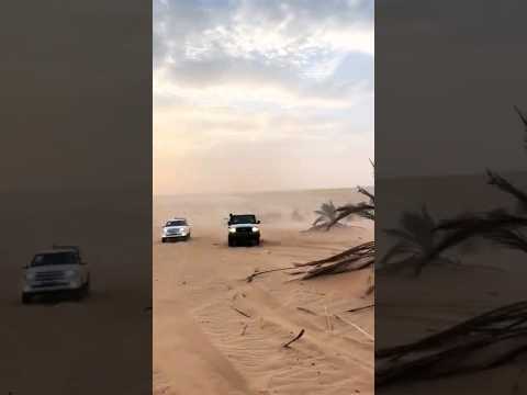 TOYOTA Hardtop pick-up and #Hilux the Sahara #Saudi🇸🇦 Arabia  #youtube #shortsvideo