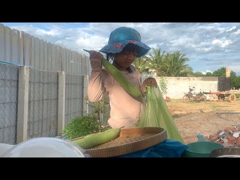A day of a loofah picker in the small village