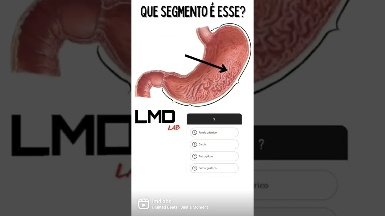 Quiz de anatomia 2! #Shorts