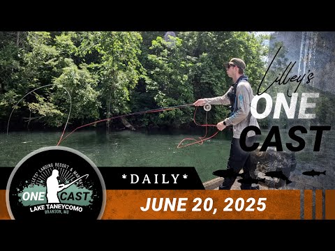Lilley's One Cast - June 20, 2025