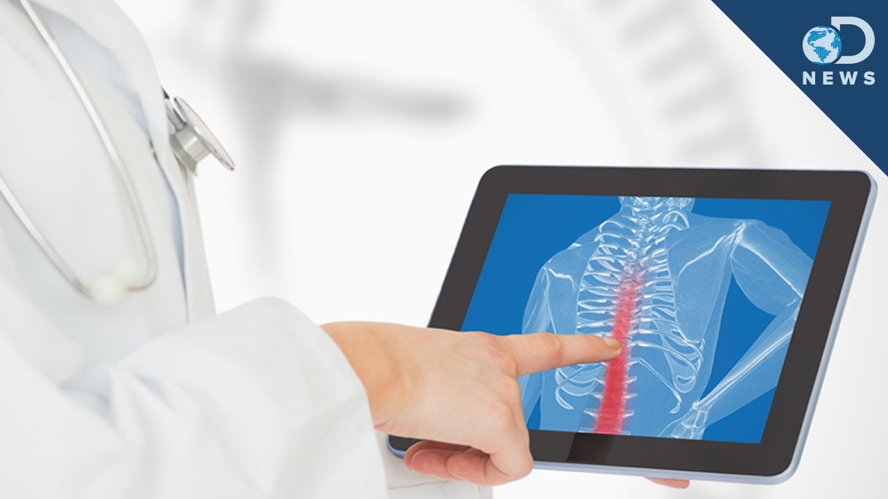 Are We Close To Repairing Spinal Cord Injuries?