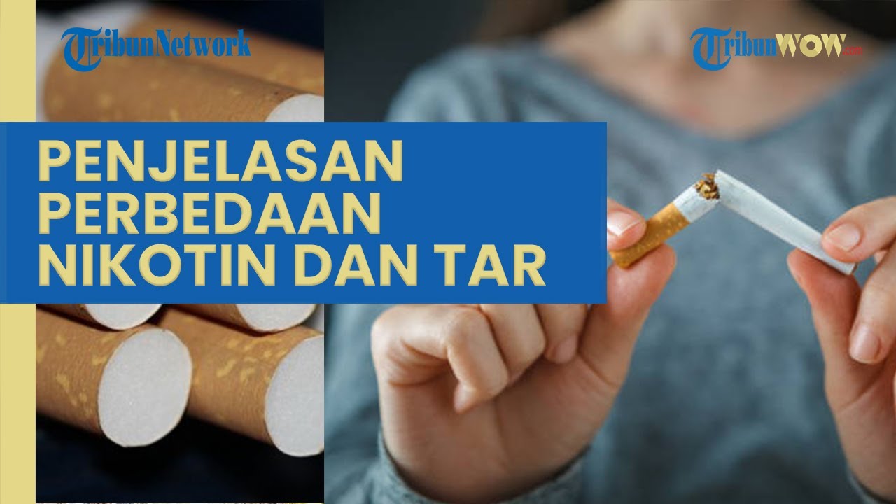 Ahli Toksikologi Jelaskan Perbedaan Nikotin dengan TAR, Ini Kandungan ...
