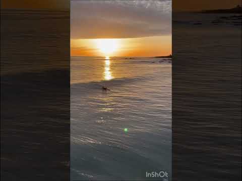 Is Cayucos the last true small surf town left in Cali? #805 #beach #learntosurf #surfing #sea