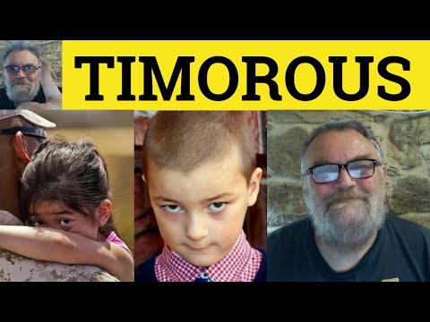 🔵 Timorous Meaning - Timorous Defined - Timorousness Examples - Vocabulary - Timorousness