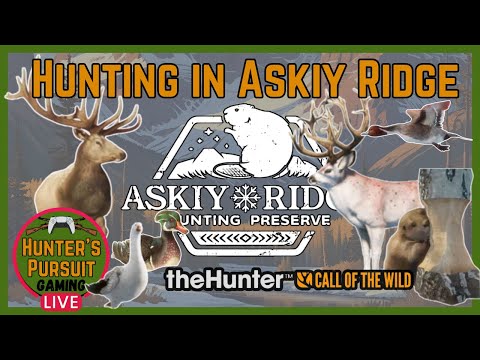 Hunting in Askiy Ridge! | theHunter: Call of the Wild LIVE
