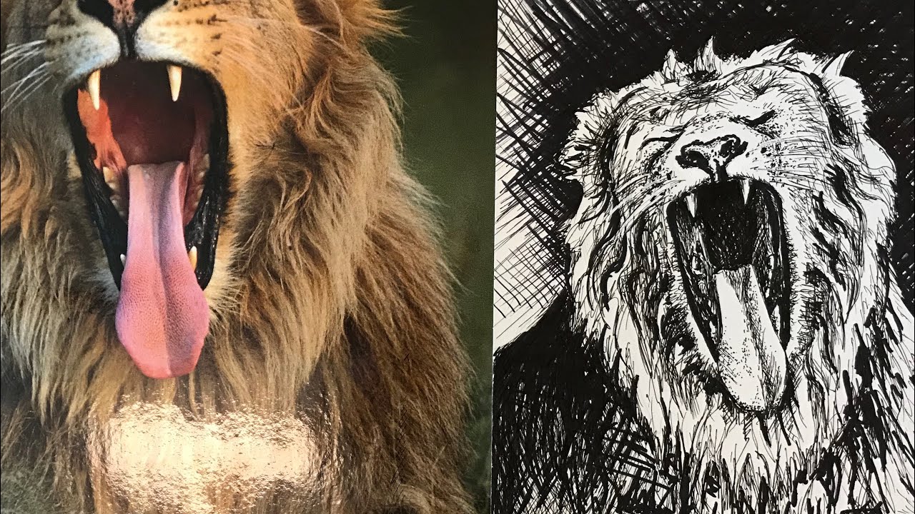 Ink Drawing Timelapse and Tutorial - Lion