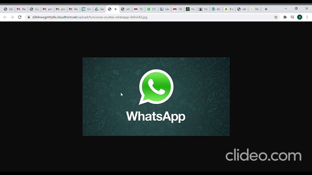 montaje fotografico hoja en blanco pixiz google chrome 2021 02 27 17 01 52 cHZx1Gxi lF4O