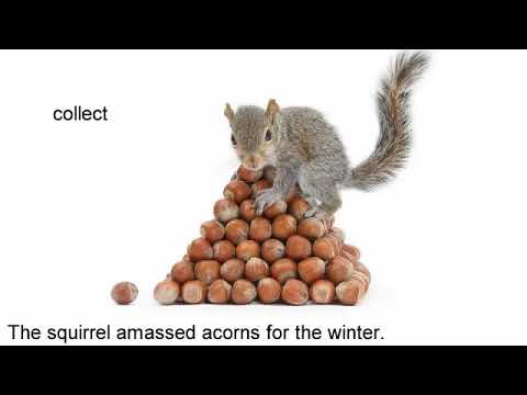 amass meaning | Vocabulary for Kids | Children's Dictionary | Learn English Vocabulary